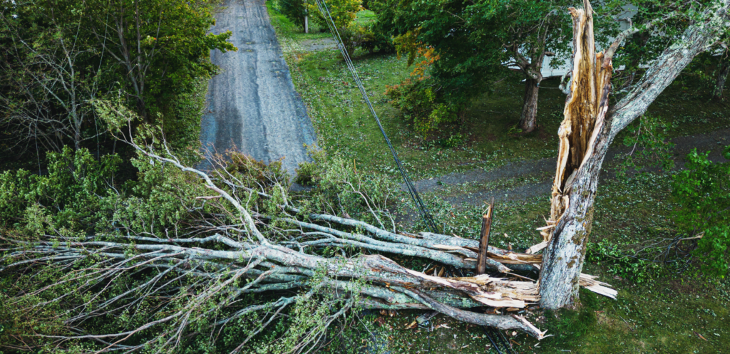 Hurricane Beryl Recovery Fund - Greater Houston Disaster Alliance